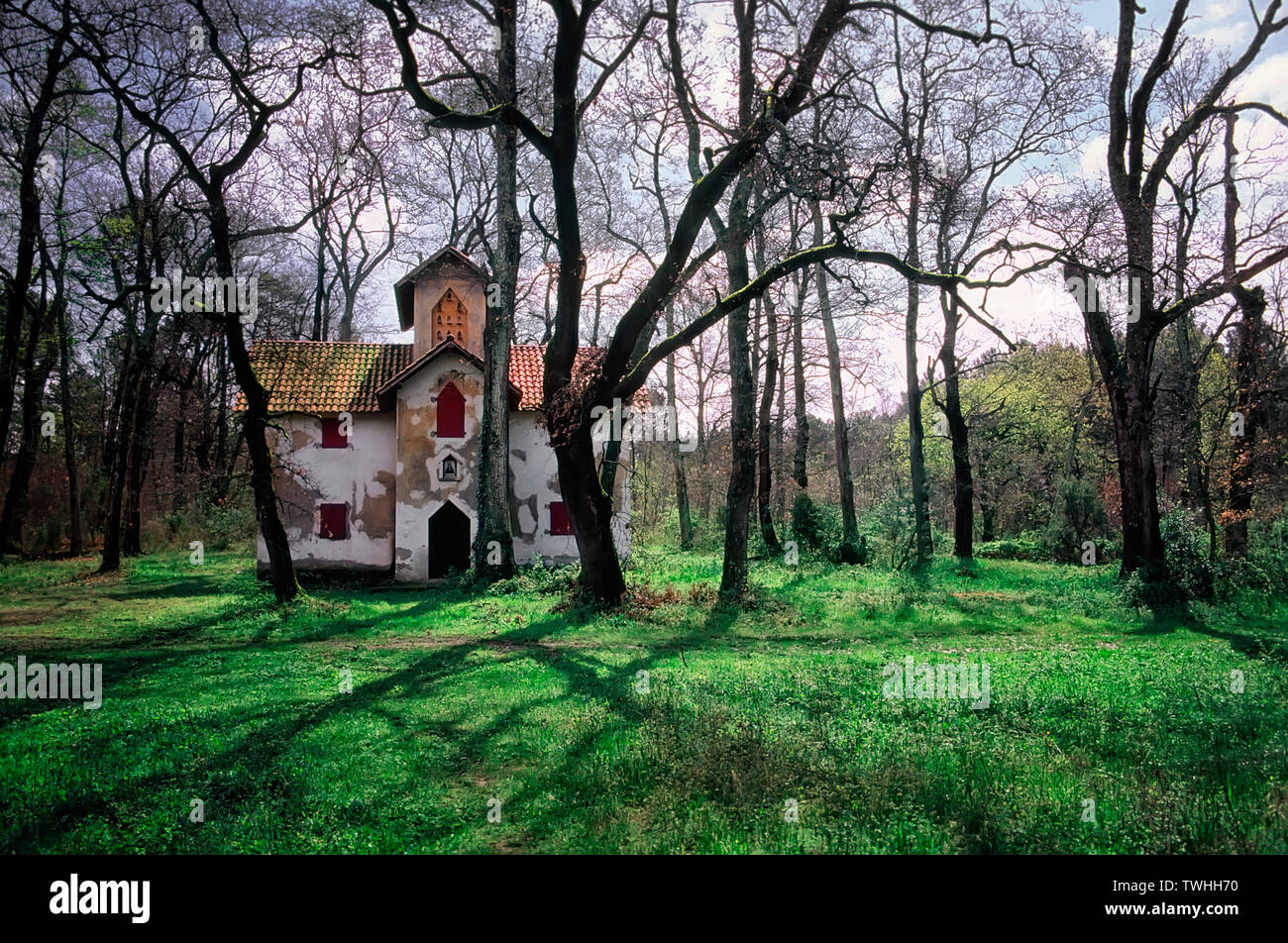 Hunting Manor Lodge in forest of Bosco di Chiusi, Cerbaie, Tuscany ...