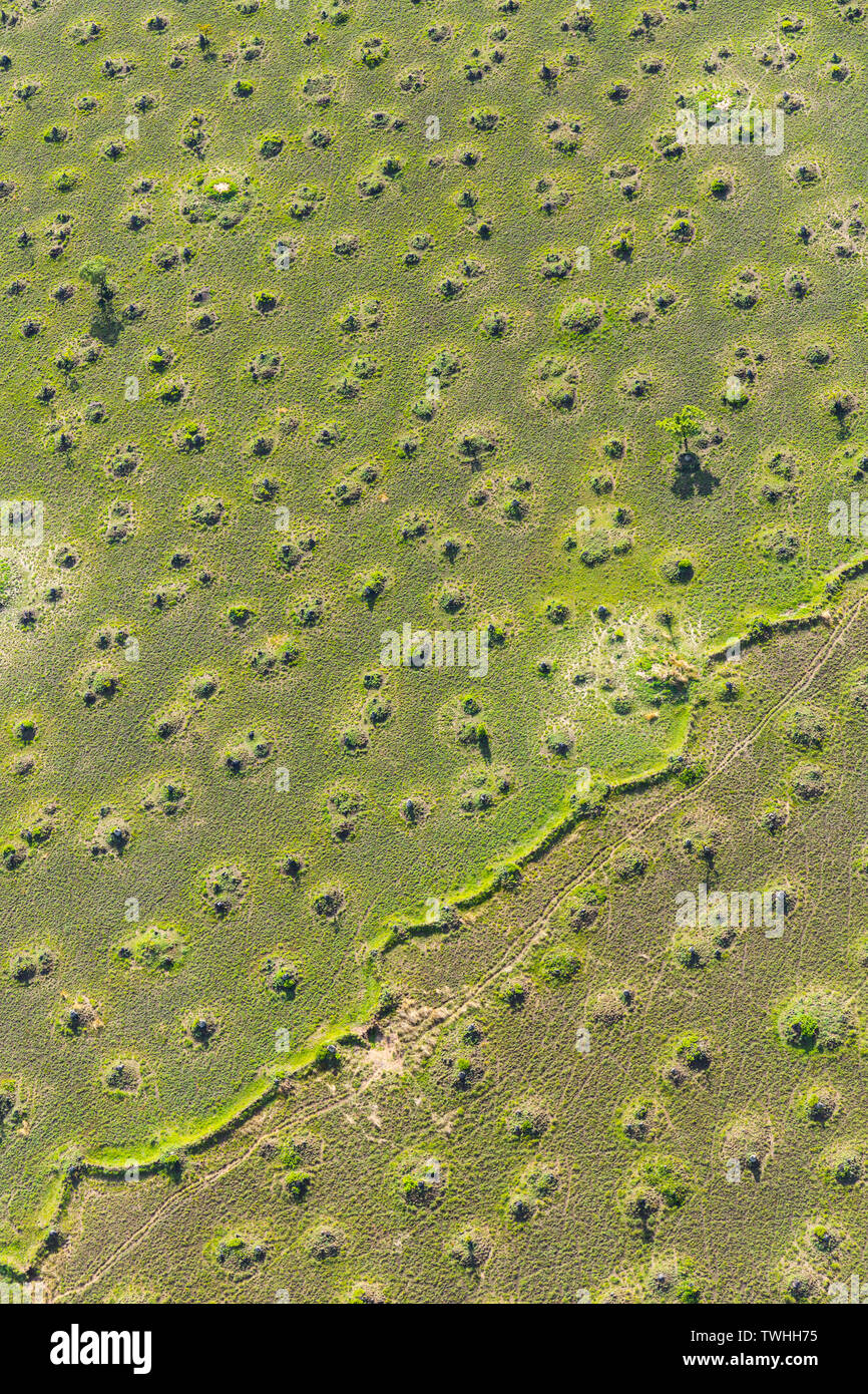 Kasanka National Park, Serenje, Provincia central, Zambia, Africa Stock ...