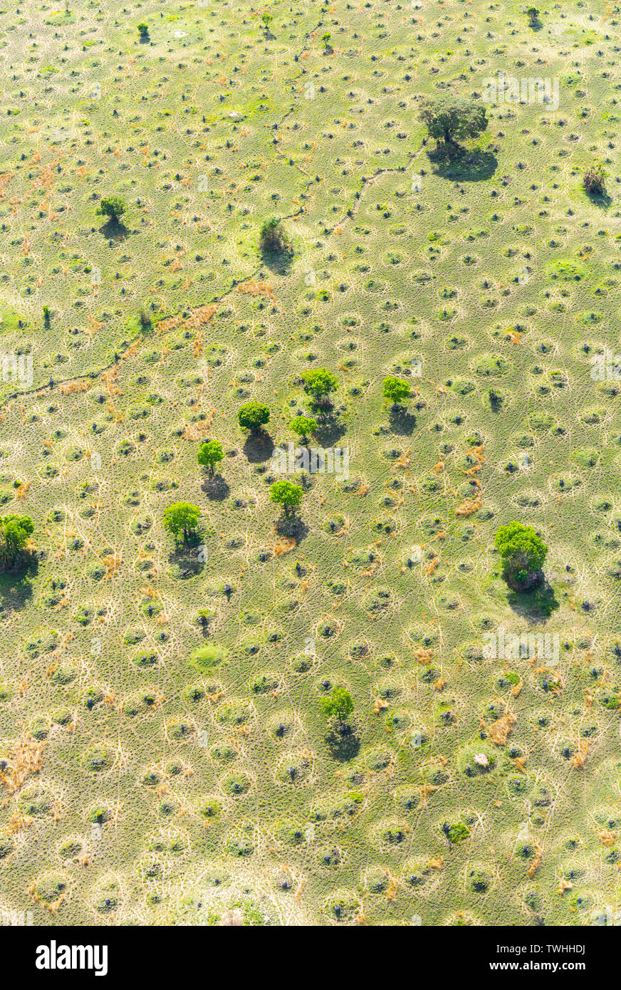 Kasanka National Park, Serenje, Provincia central, Zambia, Africa Stock ...