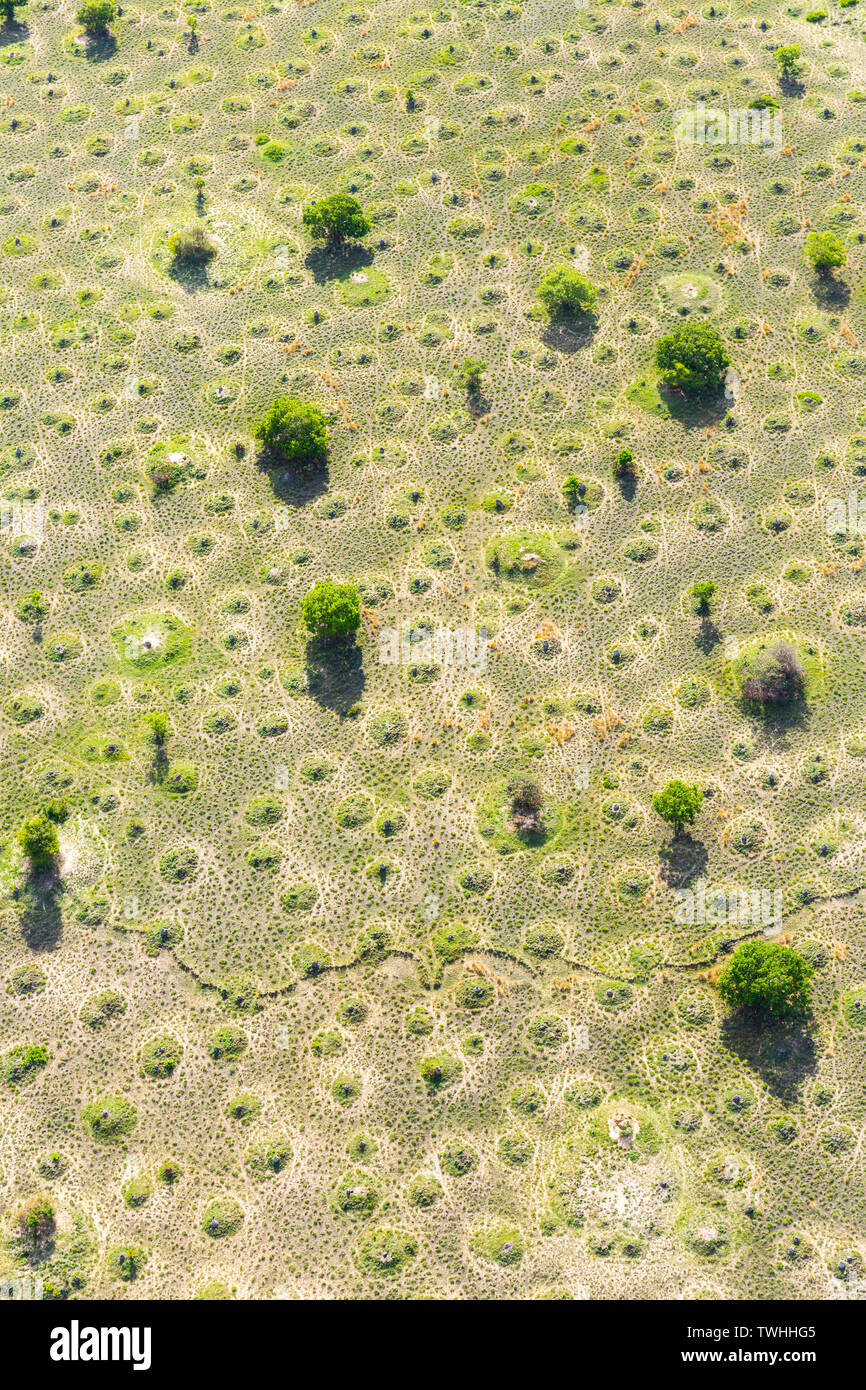 Kasanka National Park, Serenje, Provincia central, Zambia, Africa Stock ...