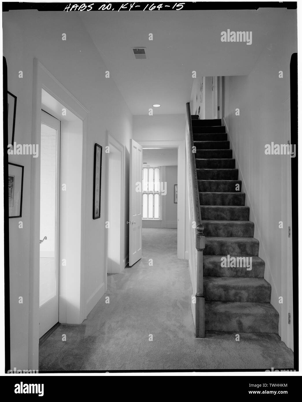 Daniel carter Cut Out Stock Images & Pictures - Alamy