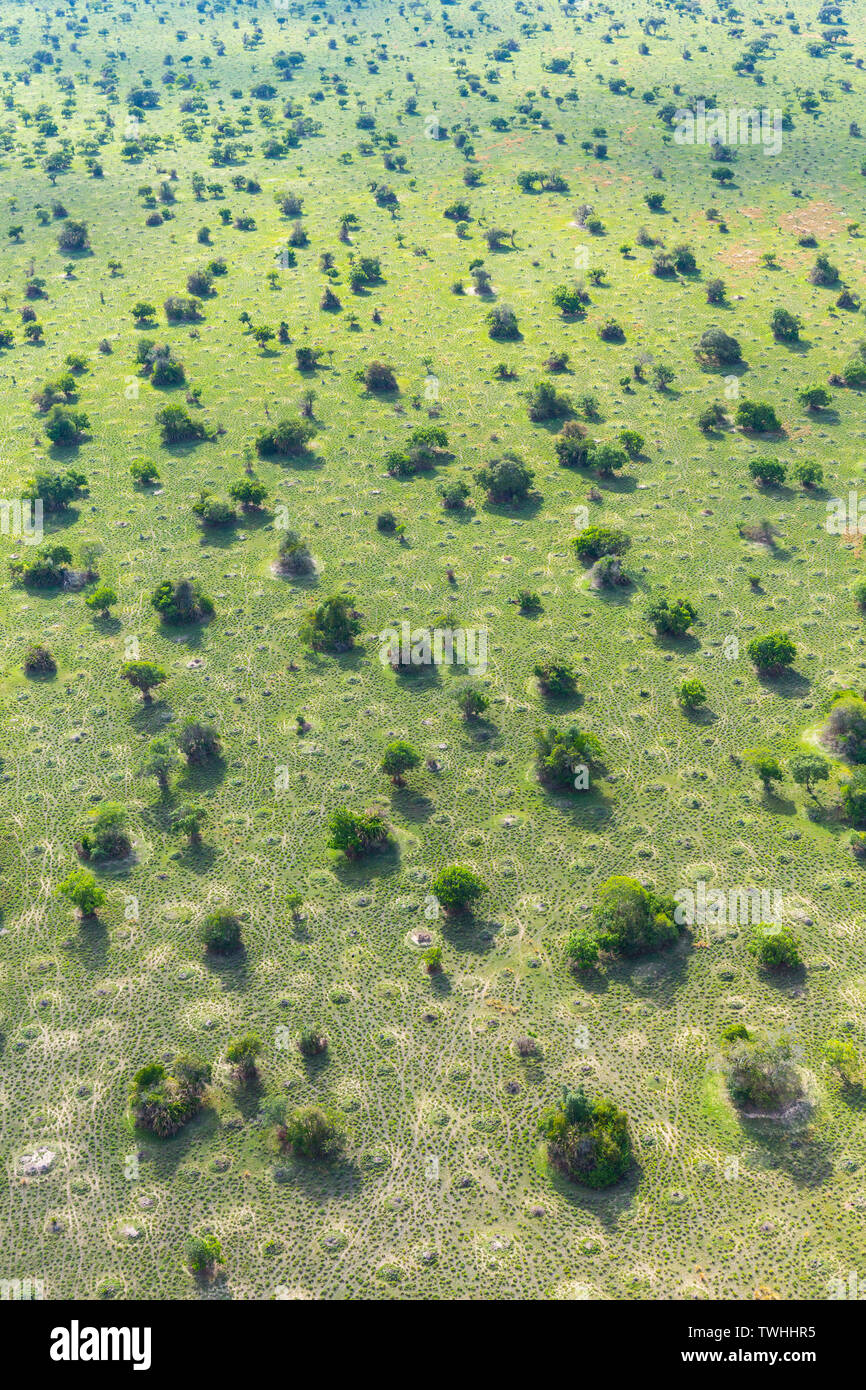 Kasanka National Park, Serenje, Provincia central, Zambia, Africa Stock ...