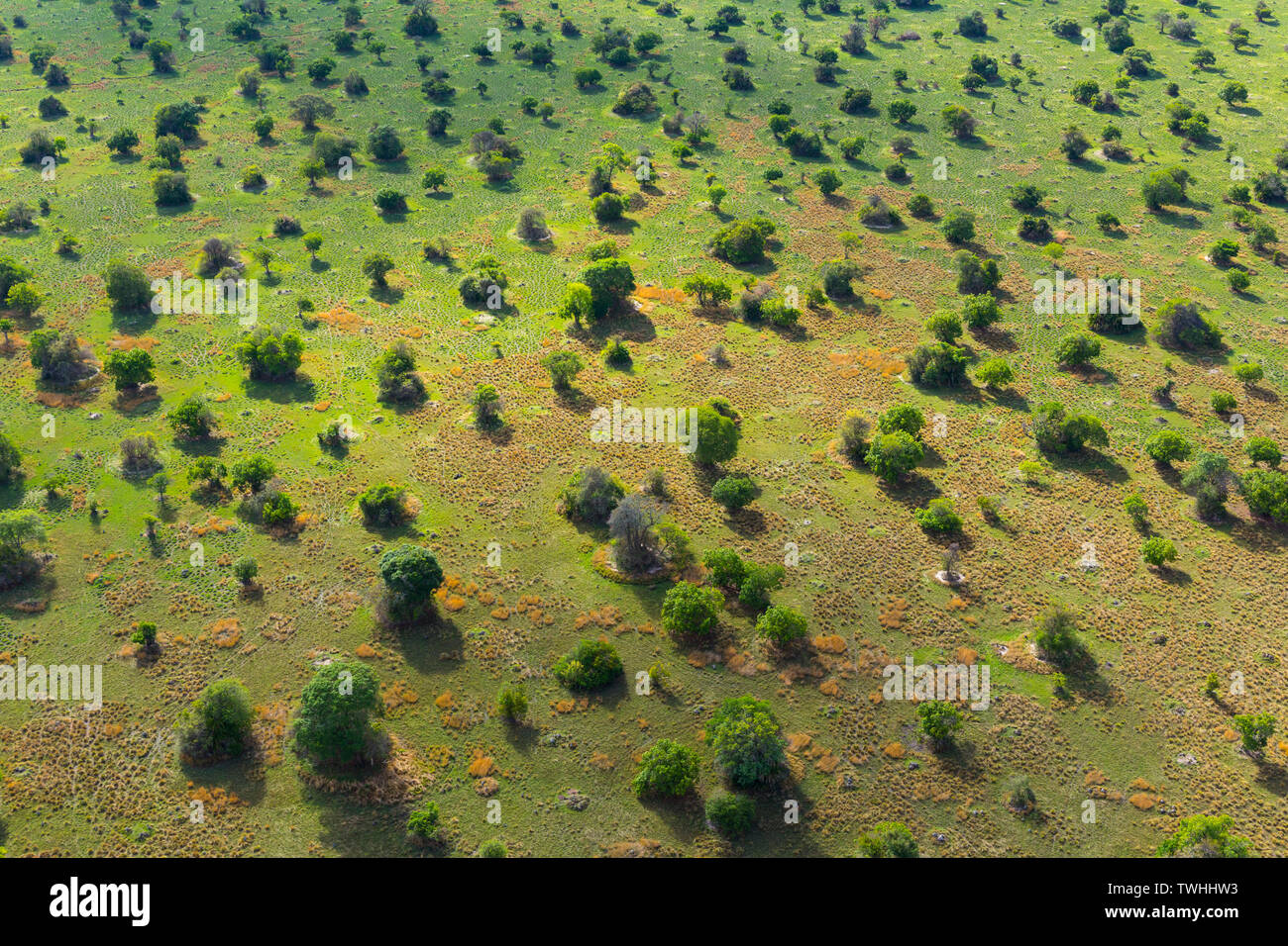 Kasanka National Park, Serenje, Provincia central, Zambia, Africa Stock ...