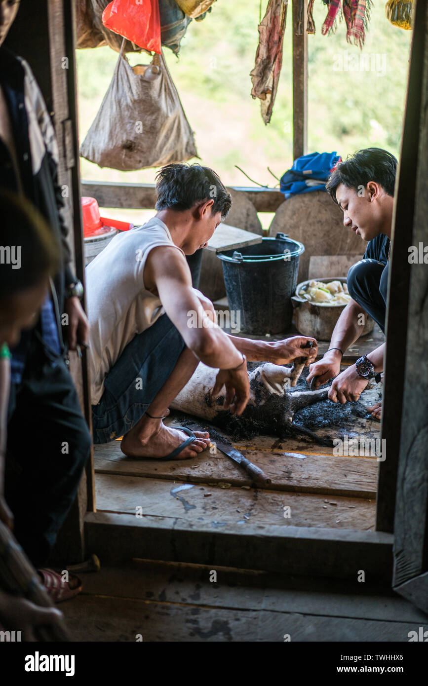 Woman slaughtering pig hi-res stock photography and images - Alamy