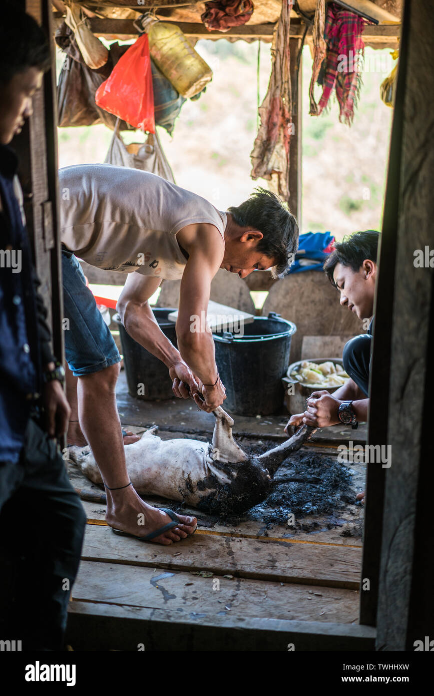 Woman slaughtering pig hi-res stock photography and images - Alamy