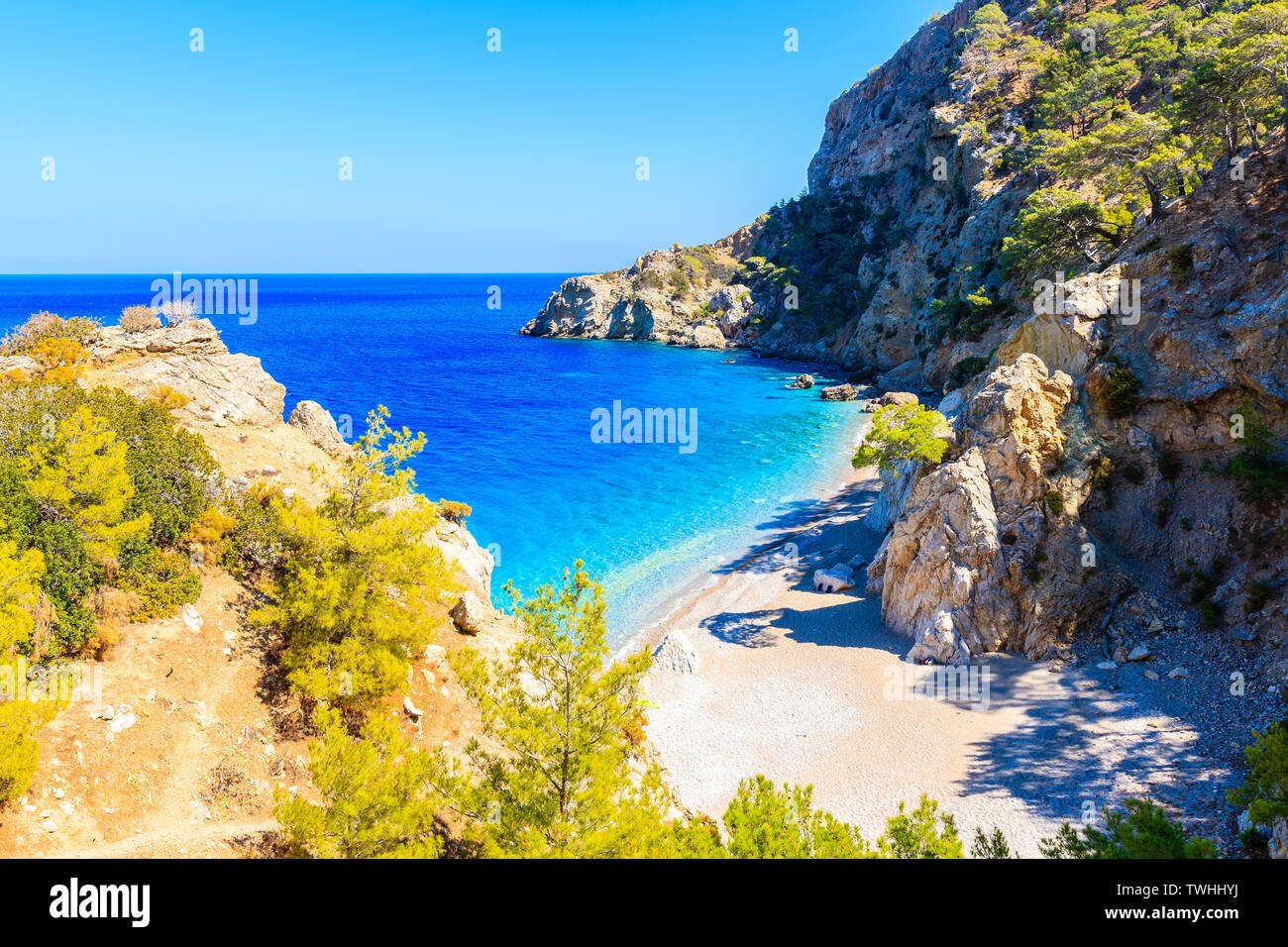 Pine tree on small island hi-res stock photography and images - Alamy