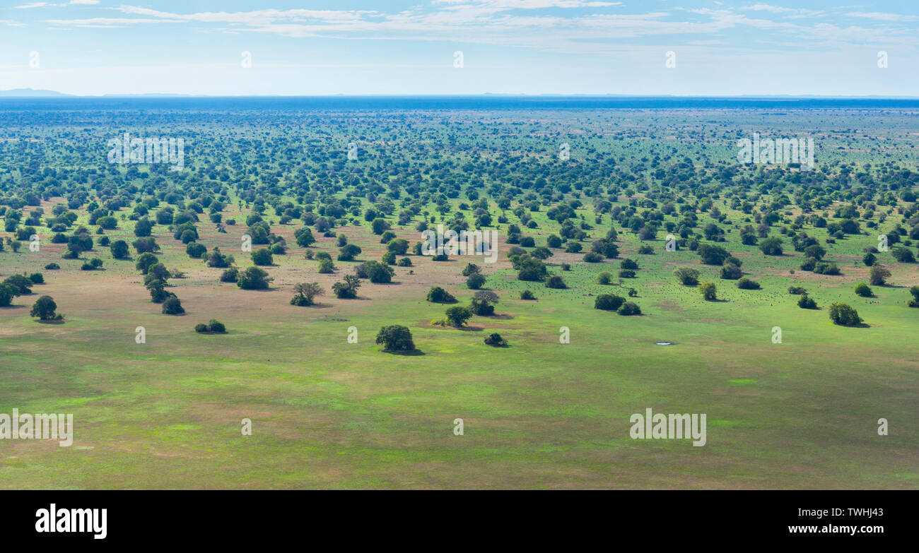 Kasanka National Park, Serenje, Provincia central, Zambia, Africa Stock ...