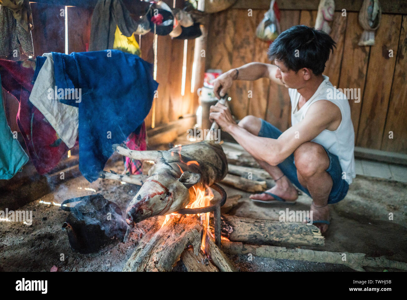 Woman slaughtering pig hi-res stock photography and images - Alamy