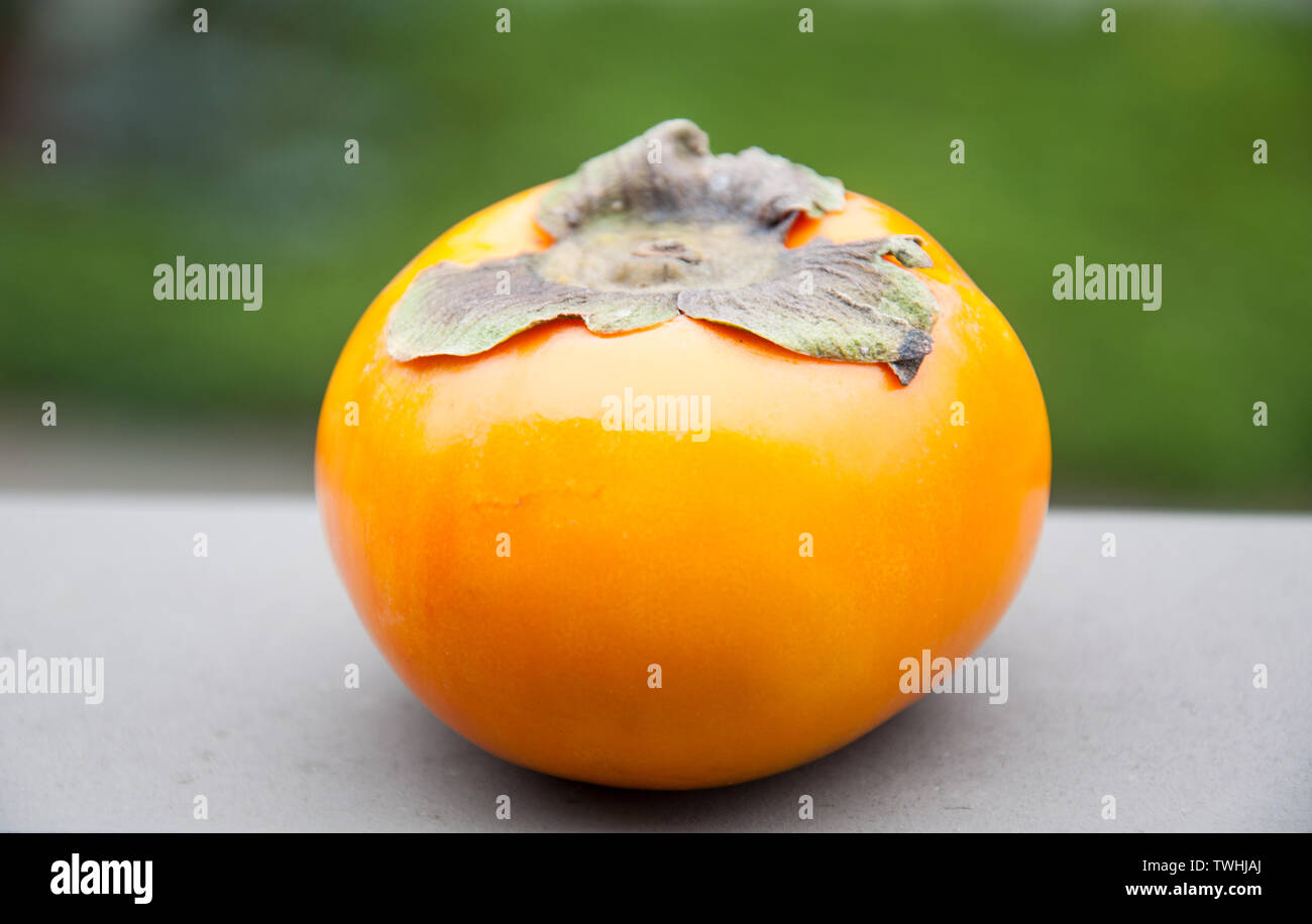 Persimmon fruit lovely ripe yellow tropical fruit whole, uncut food ...