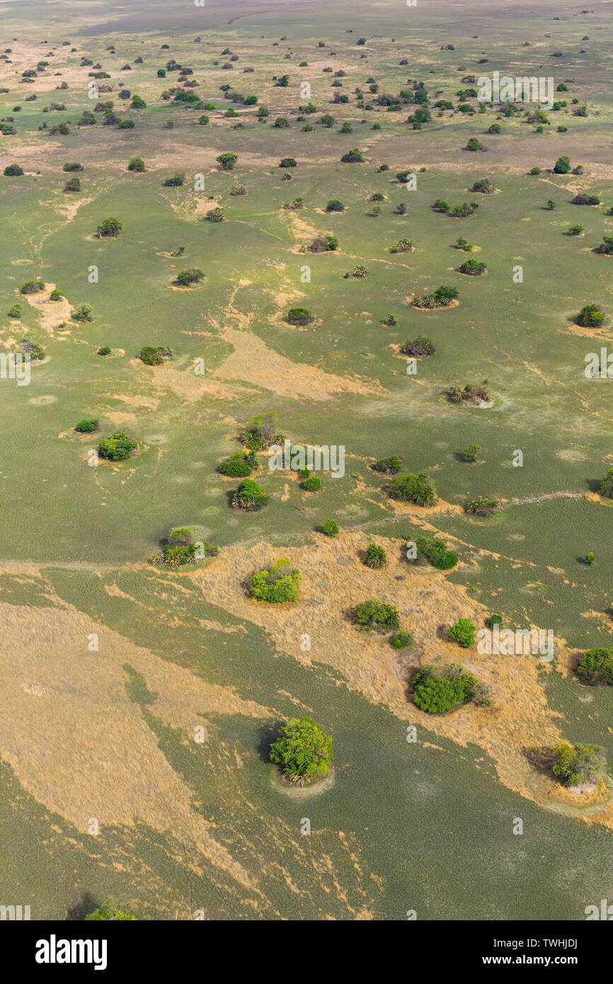 Kasanka National Park, Serenje, Provincia central, Zambia, Africa Stock ...