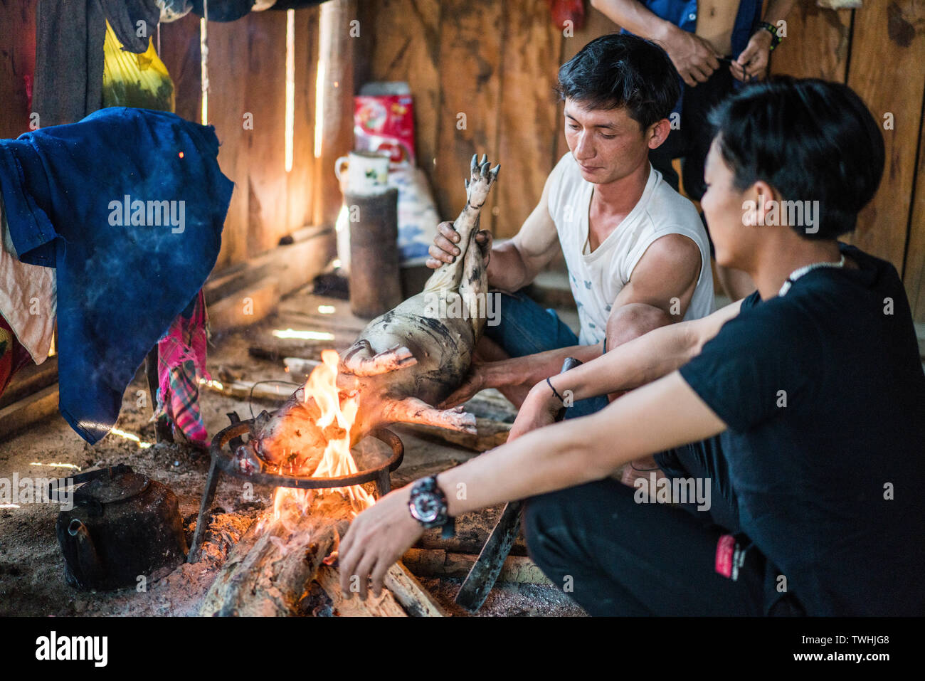 Woman slaughtering pig hi-res stock photography and images - Alamy