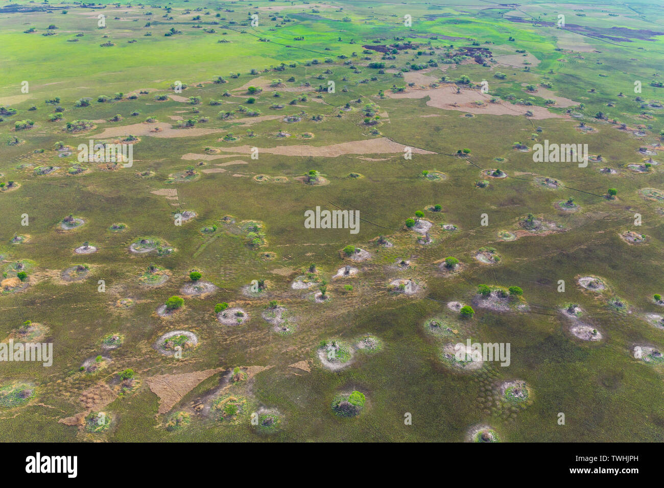 Kasanka National Park, Serenje, Provincia central, Zambia, Africa Stock ...