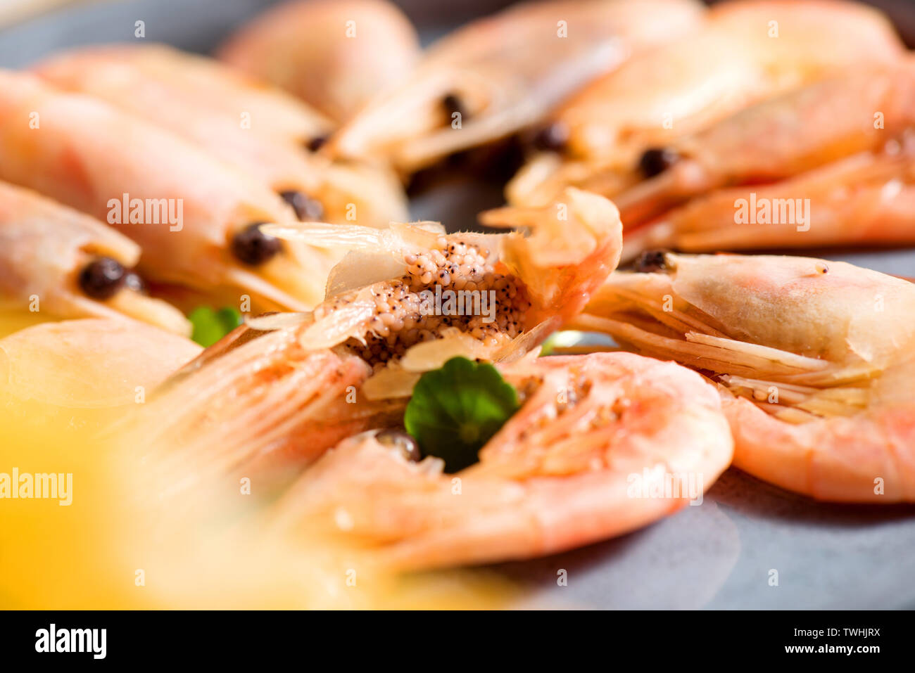 Seafood Arctic shrimp Stock Photo - Alamy