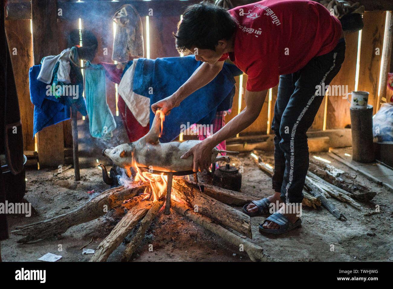 Woman slaughtering pig hi-res stock photography and images - Alamy
