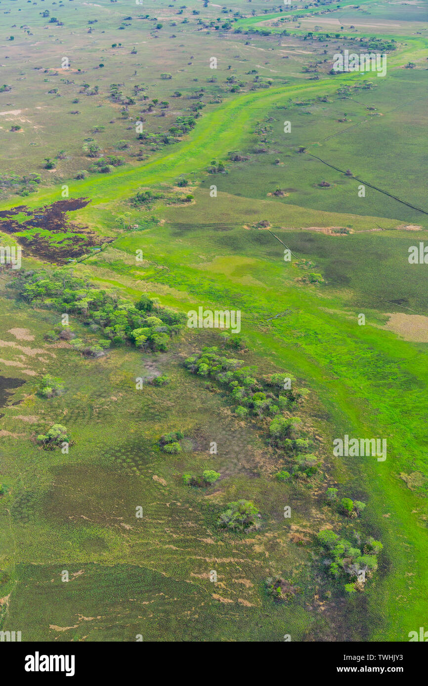 Kasanka National Park, Serenje, Provincia central, Zambia, Africa Stock ...