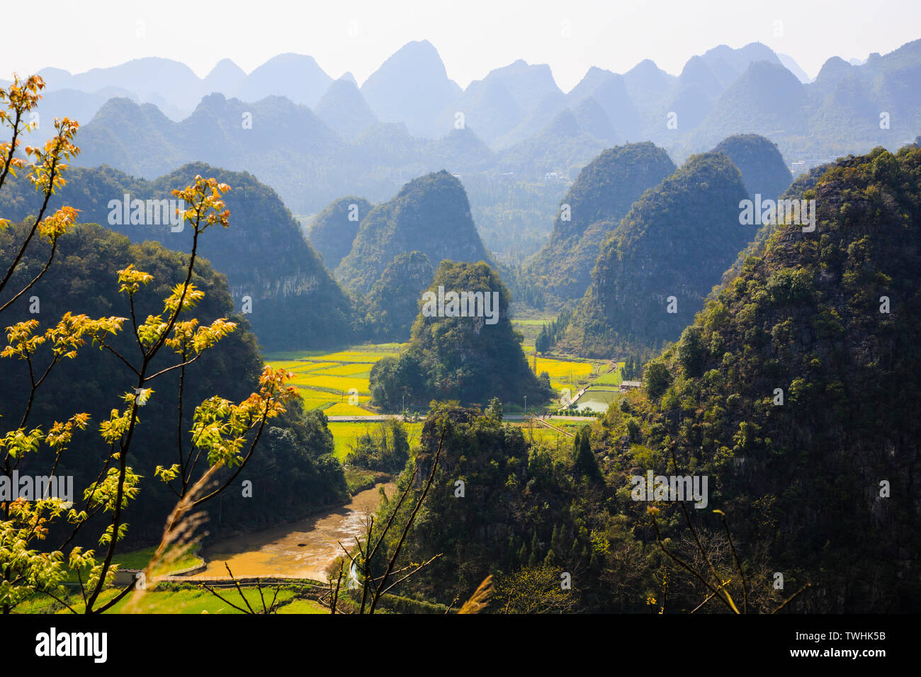 Spring color of Wanfeng forest in Xingyi, Guizhou Stock Photo - Alamy