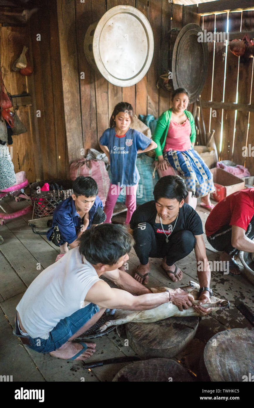 Woman slaughtering pig hi-res stock photography and images - Alamy