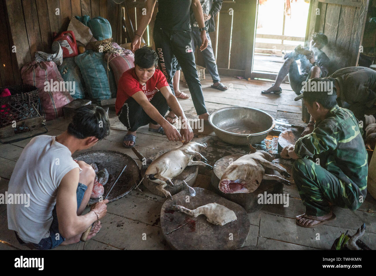Woman slaughtering pig hi-res stock photography and images - Alamy