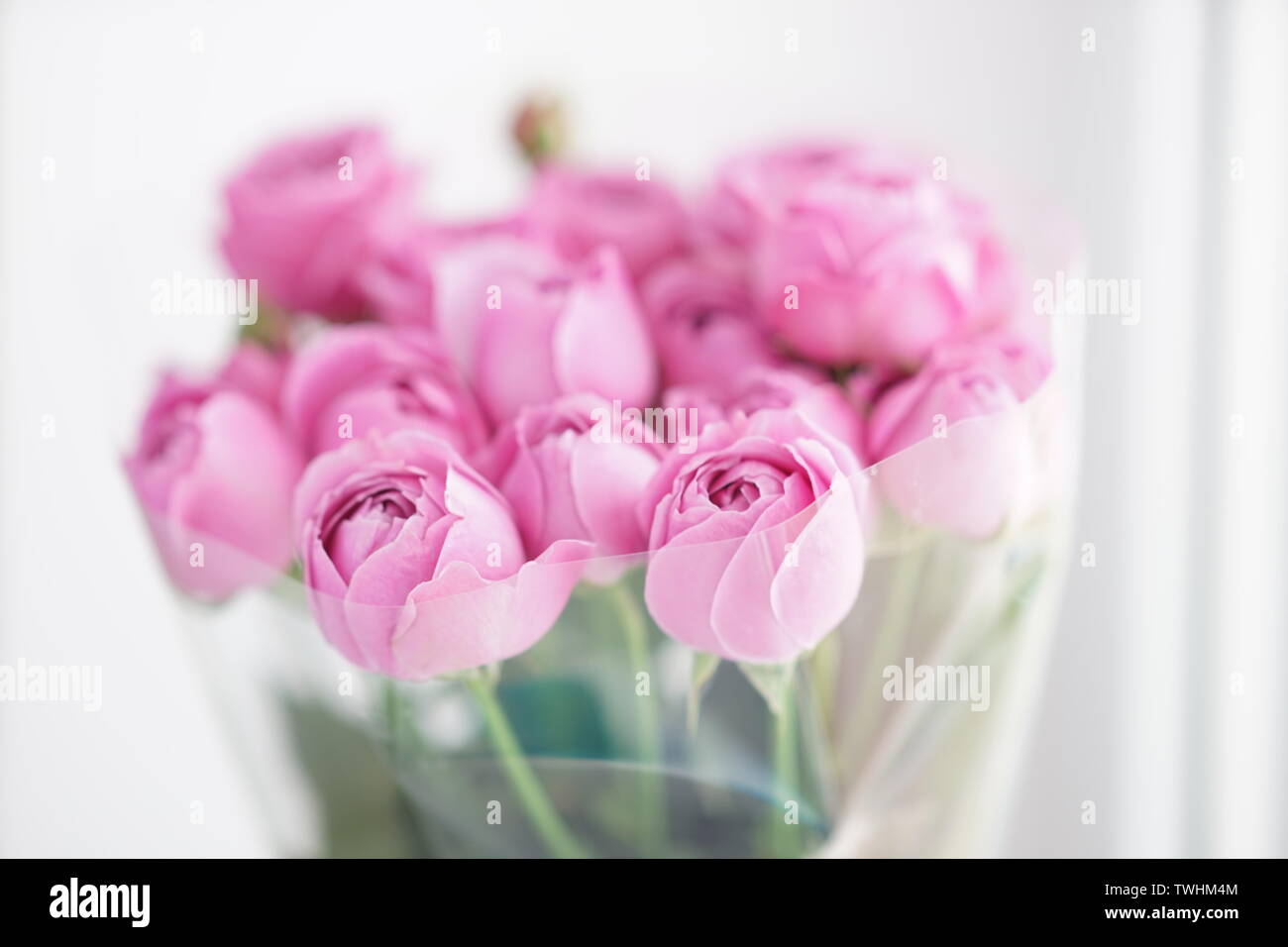 Cellophane wrapped pink roses hi-res stock photography and images - Alamy