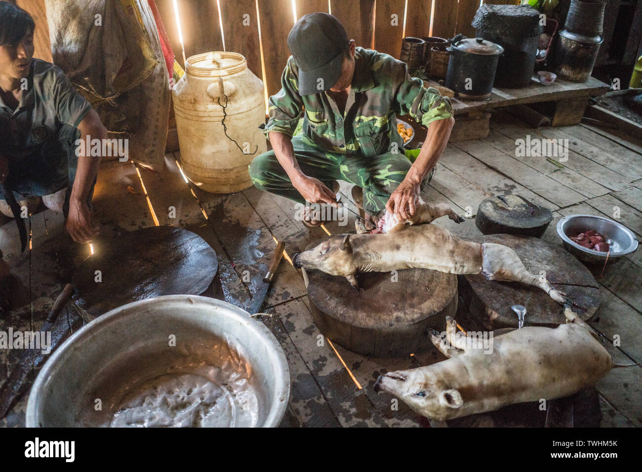 Woman slaughtering pig hi-res stock photography and images - Alamy