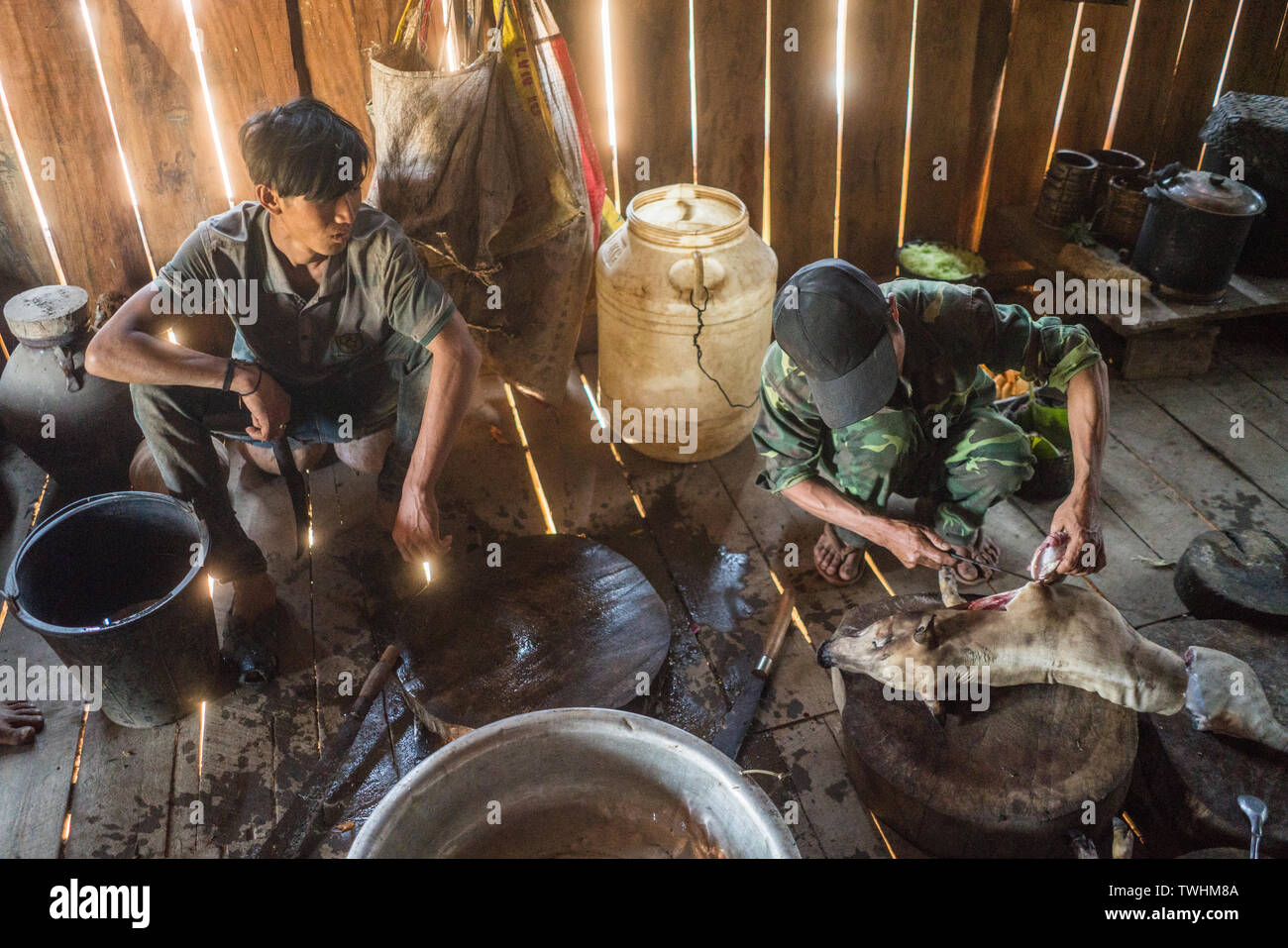 Woman slaughtering pig hi-res stock photography and images - Alamy