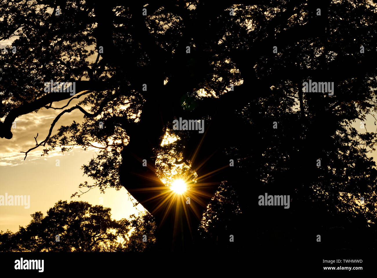 Wave sun see through hi-res stock photography and images - Alamy