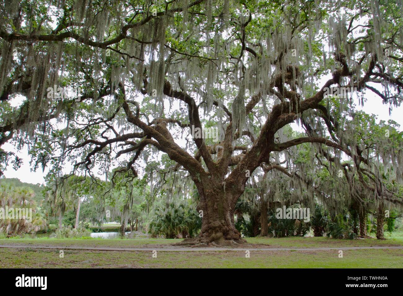 Duelling High Resolution Stock Photography and Images - Alamy