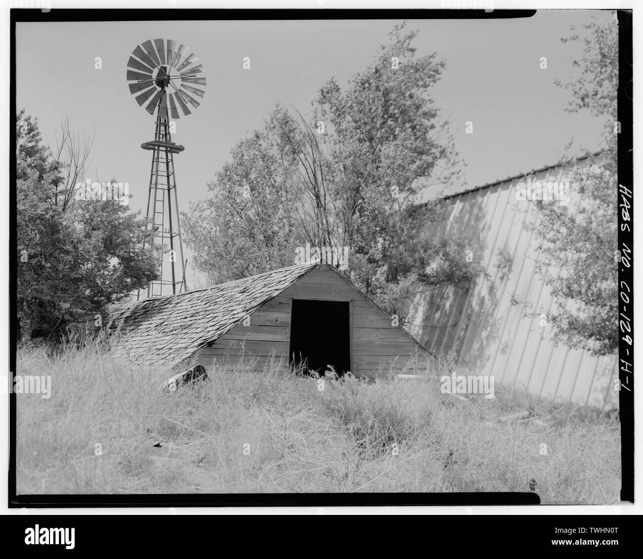 Root view Black and White Stock Photos & Images - Alamy