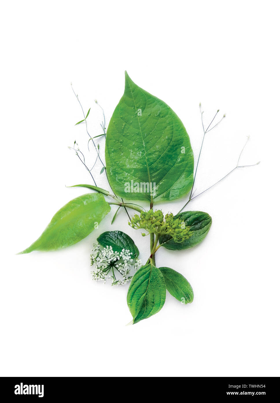 Offset print texture Cut Out Stock Images & Pictures - Alamy