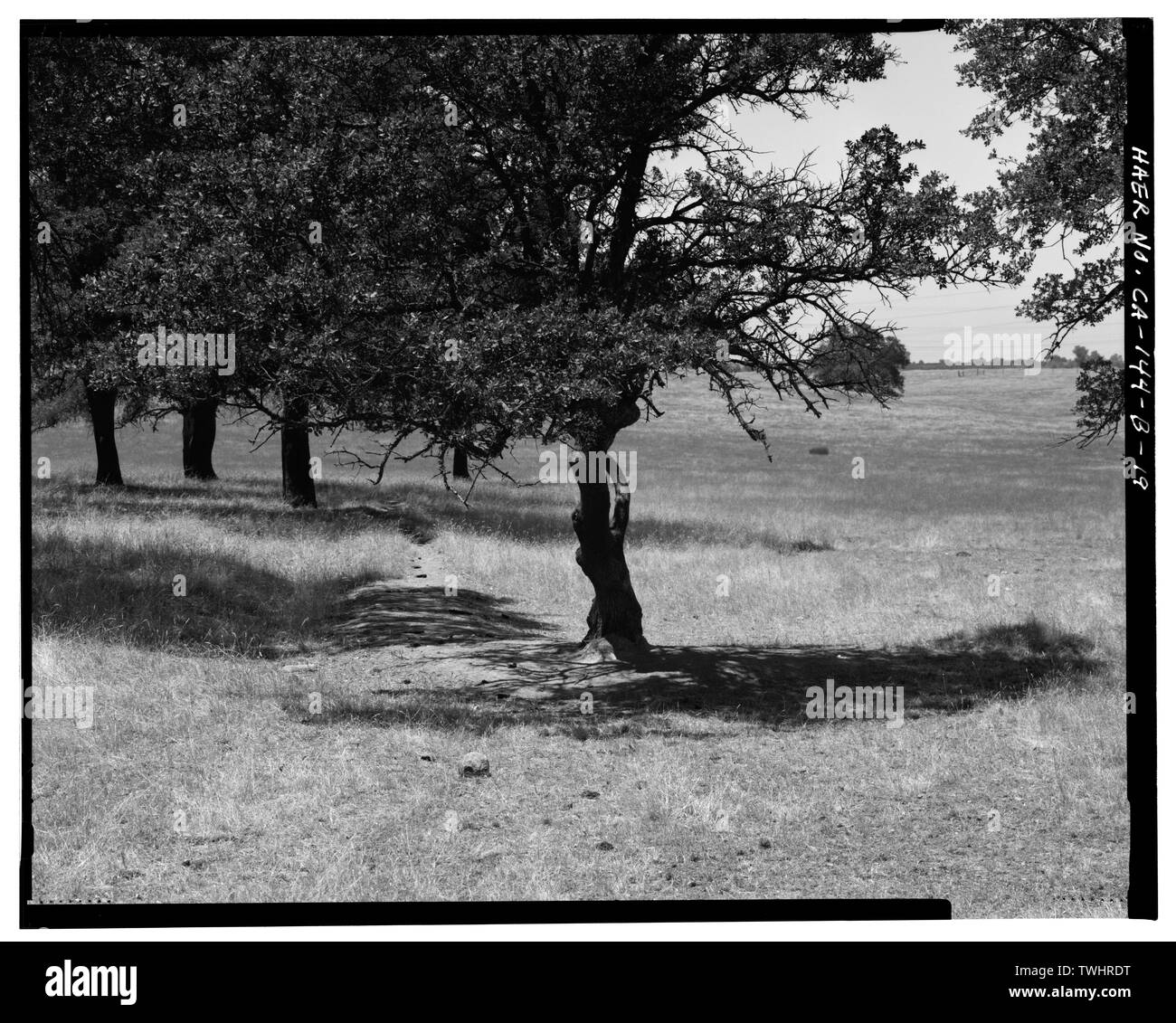 Ditch view Cut Out Stock Images & Pictures - Alamy