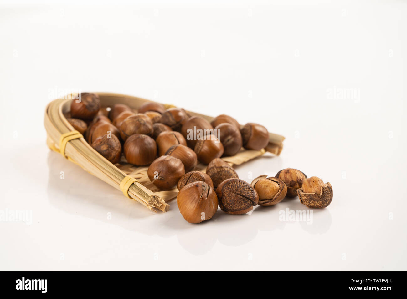 Northeast characteristic open hazelnut Stock Photo - Alamy