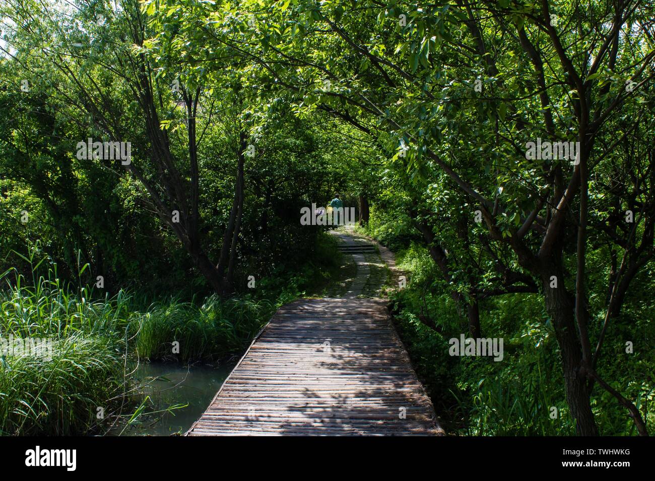Scenery of Xixi Wetland Park in Hangzhou Stock Photo - Alamy