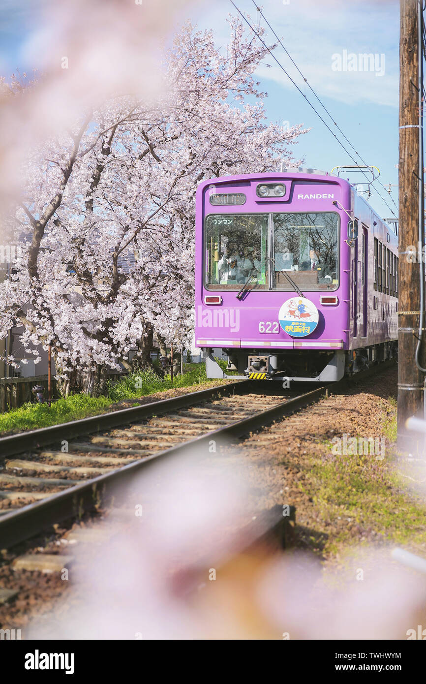 Orchid electricity hi-res stock photography and images - Alamy