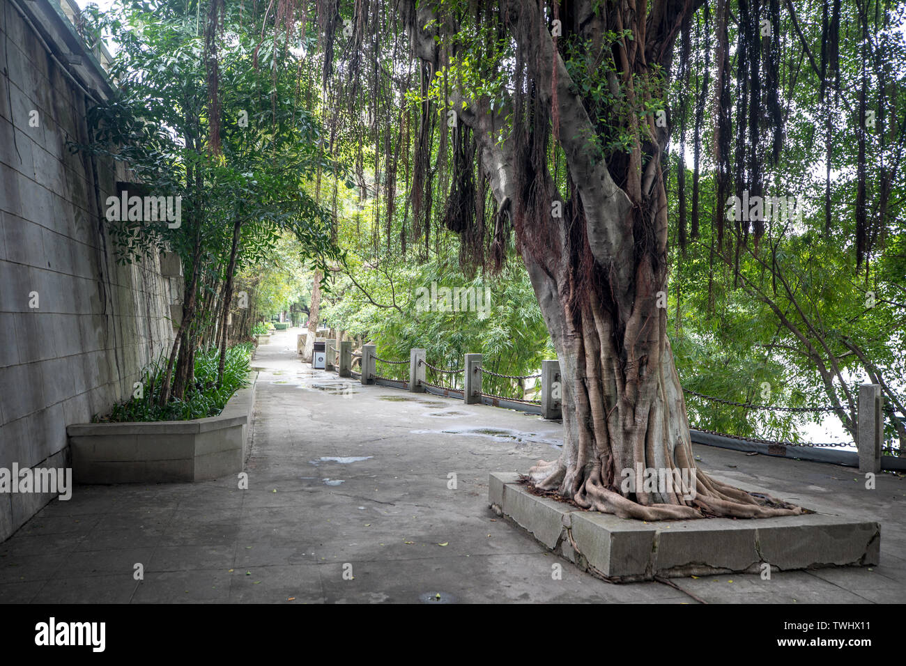 Jiangbin hi-res stock photography and images - Alamy