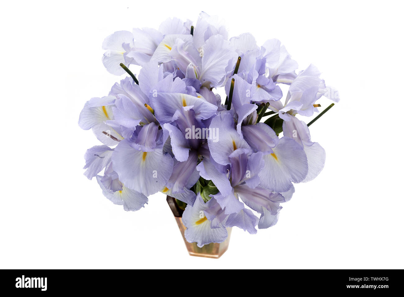 Macro shot light blue Cut Out Stock Images & Pictures - Alamy