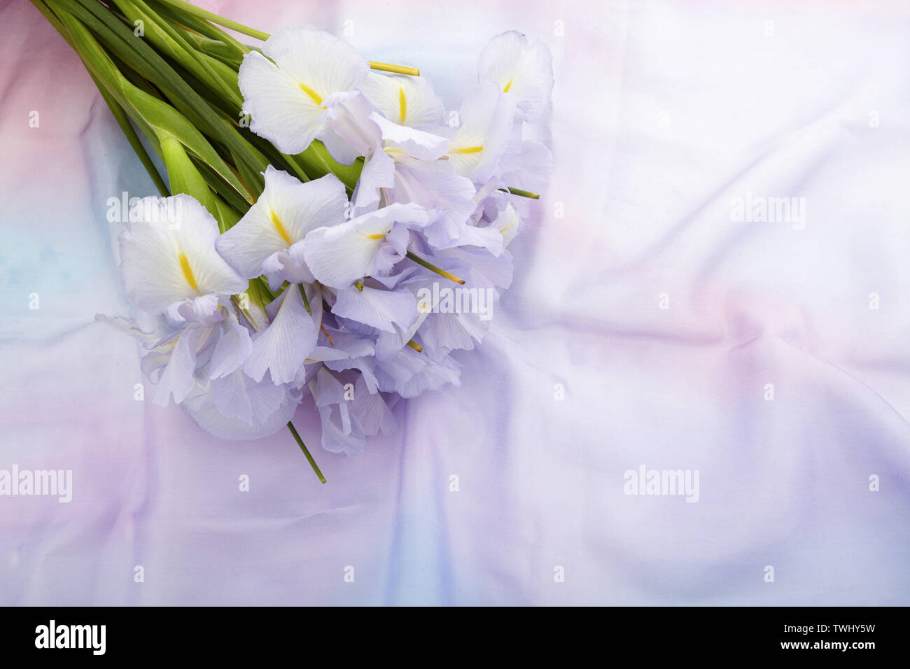 Spring nature background with beautiful iris flowers Stock Photo - Alamy