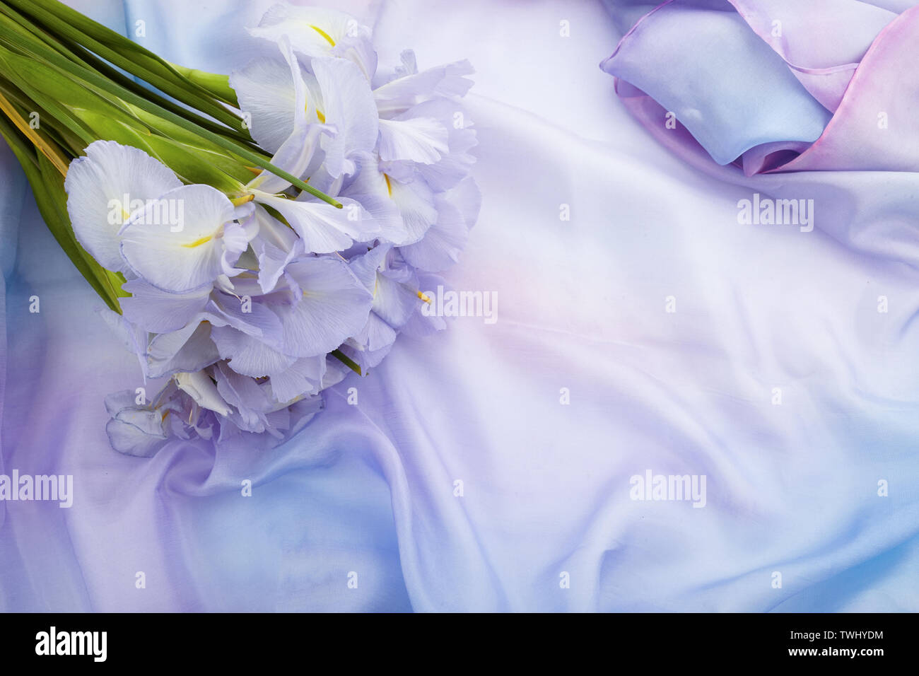 Spring nature background with beautiful iris flowers Stock Photo - Alamy