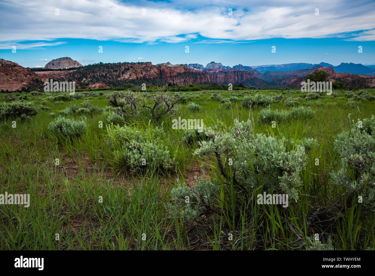 Scenic views of Zions National Park as seen from Kolob Terrace Road, a ...