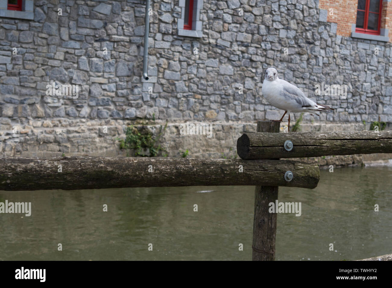 Gull wing bridge hi-res stock photography and images - Alamy
