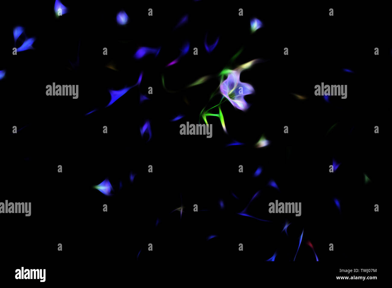 Light Painting With Flowers High Resolution Stock Photography and ...