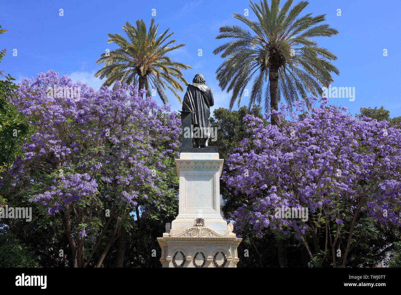 Jacaranda trees hi-res stock photography and images - Alamy