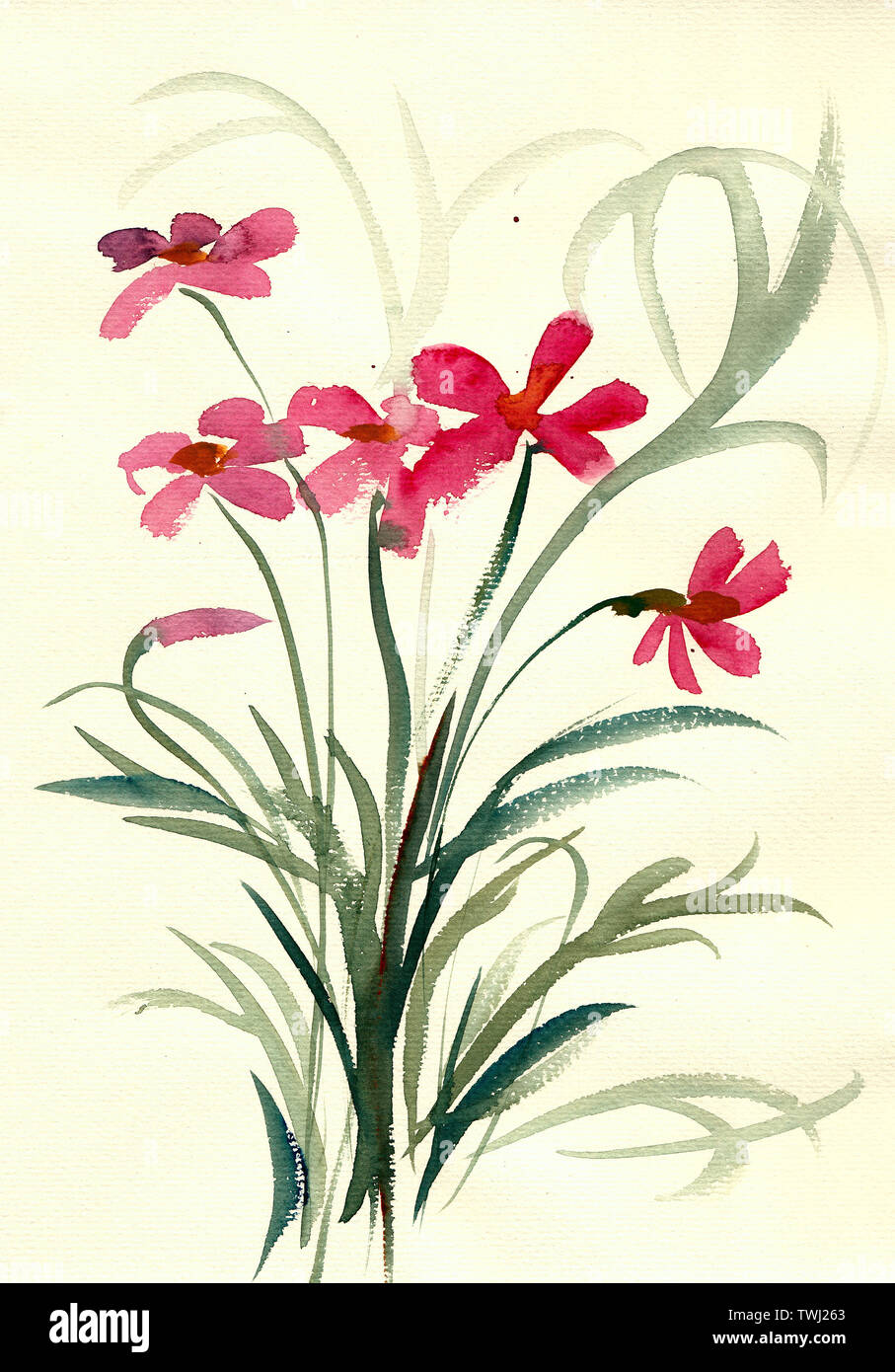 Flowers natural small flowers hand drawn flowers pink small flowers ...