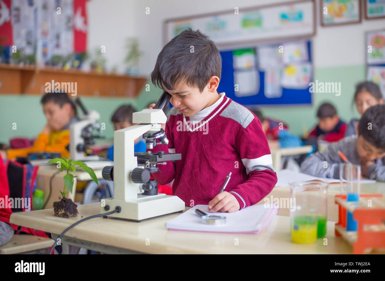 student examines plants with microscope at the classroom Stock Photo ...