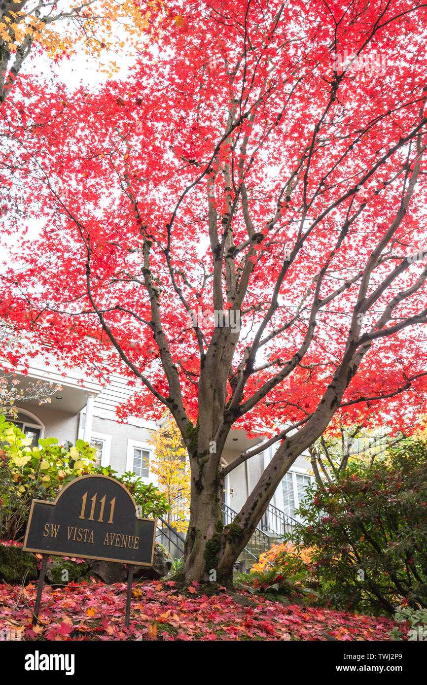 Red avenue hi-res stock photography and images - Alamy