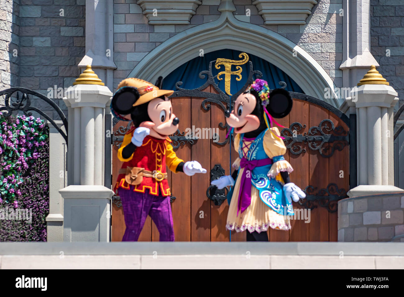 Walt Disney Castle Cartoon