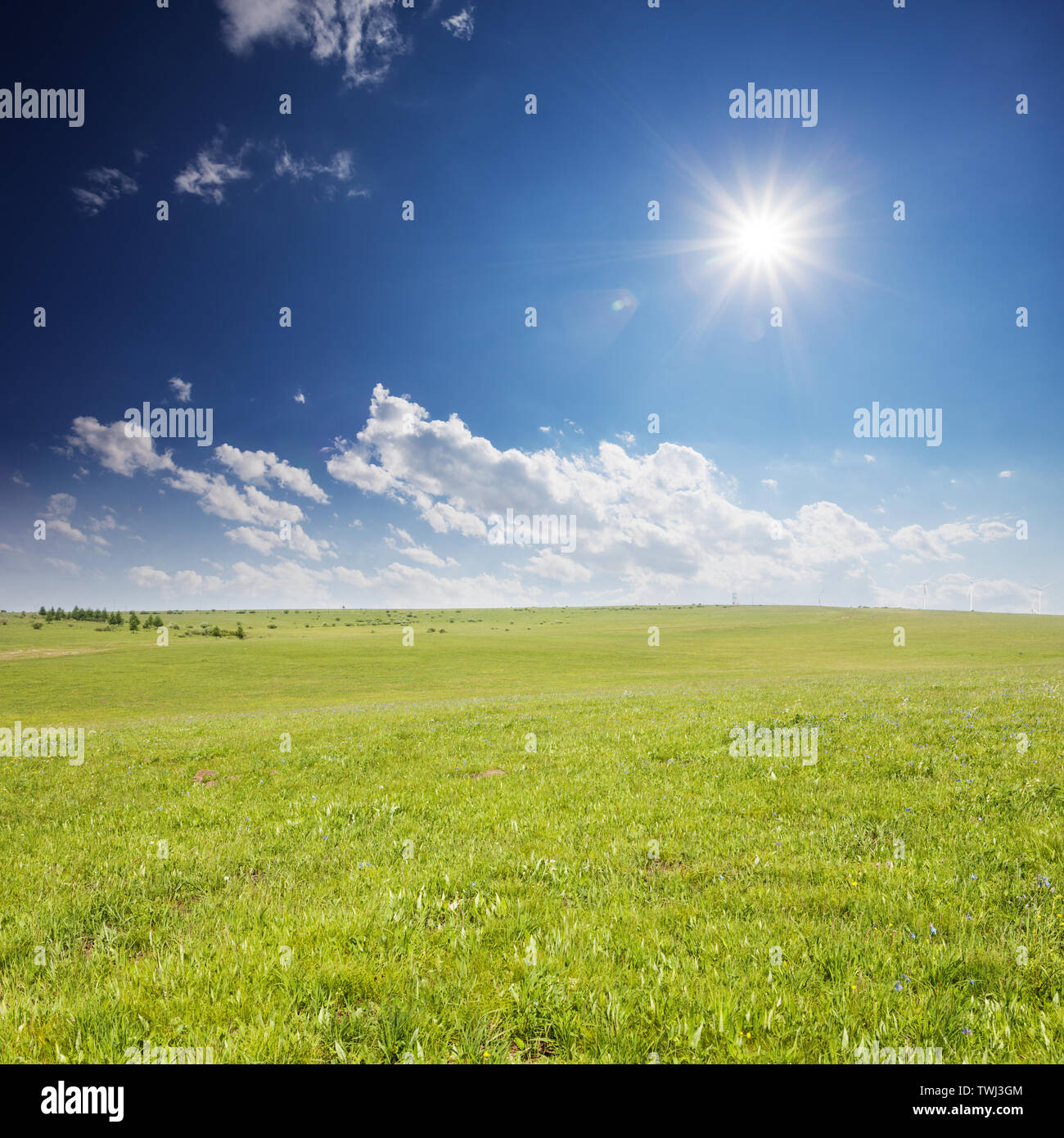 Grassfield under sunshine Stock Photo - Alamy