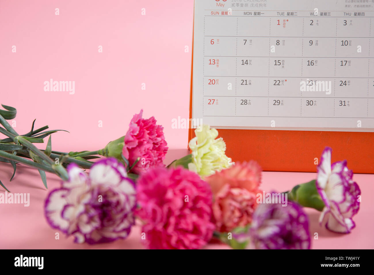 Carnation Moon and Mother's Day Stock Photo - Alamy