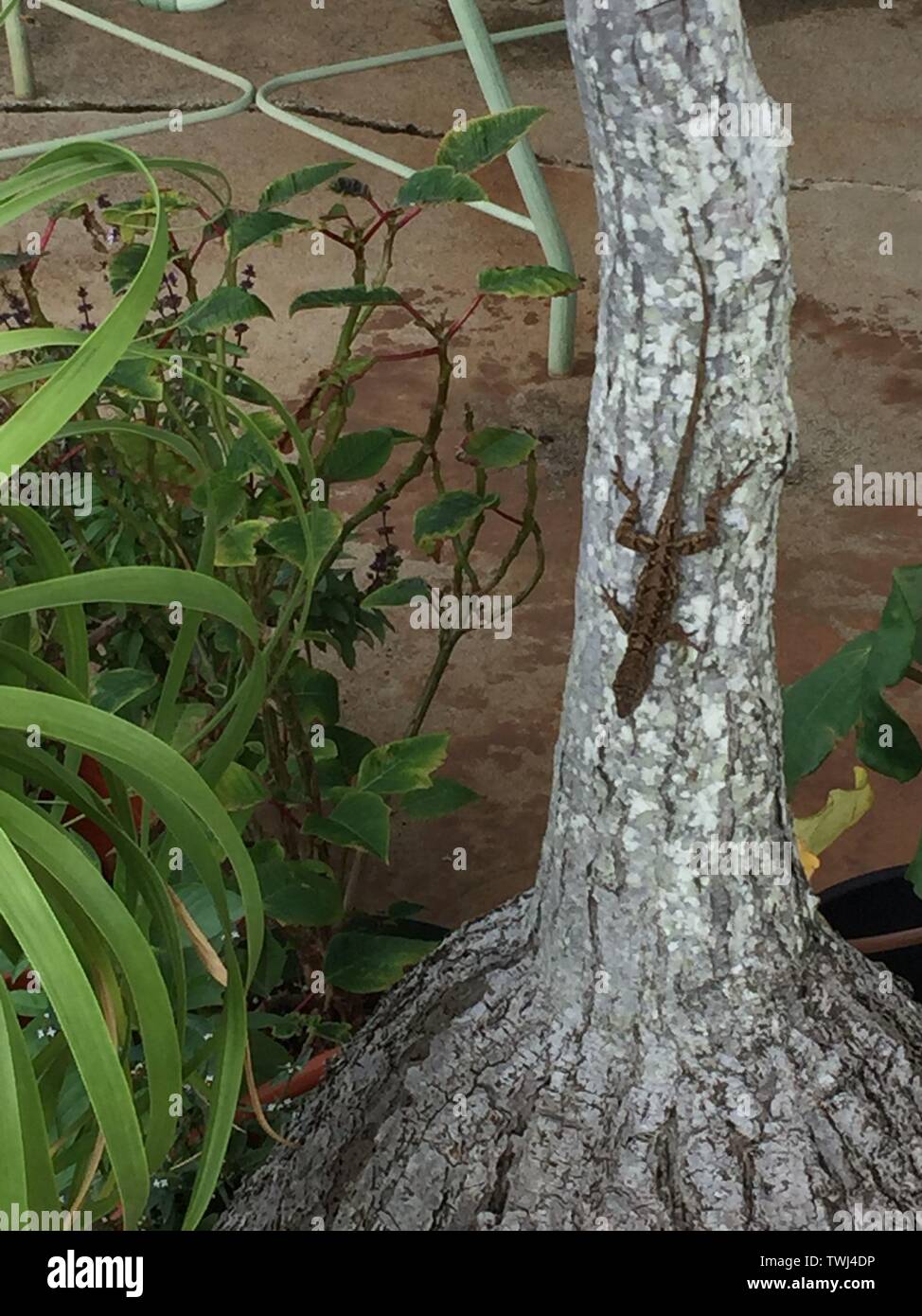 Paradise for wildlife hi-res stock photography and images - Alamy