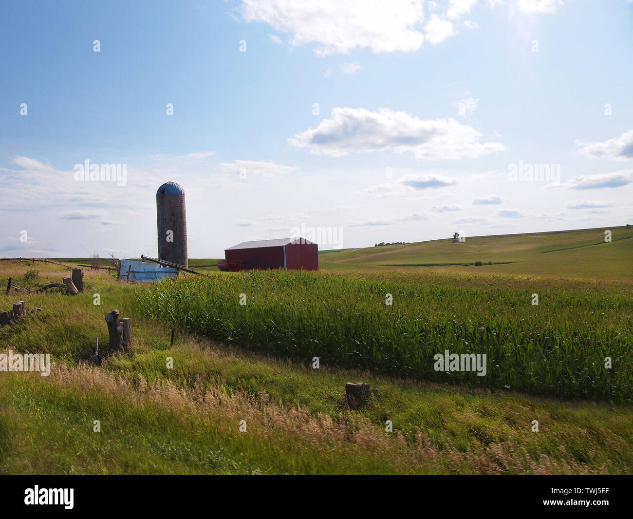 A typical countryside scene in the state of Iowa with rolling green ...