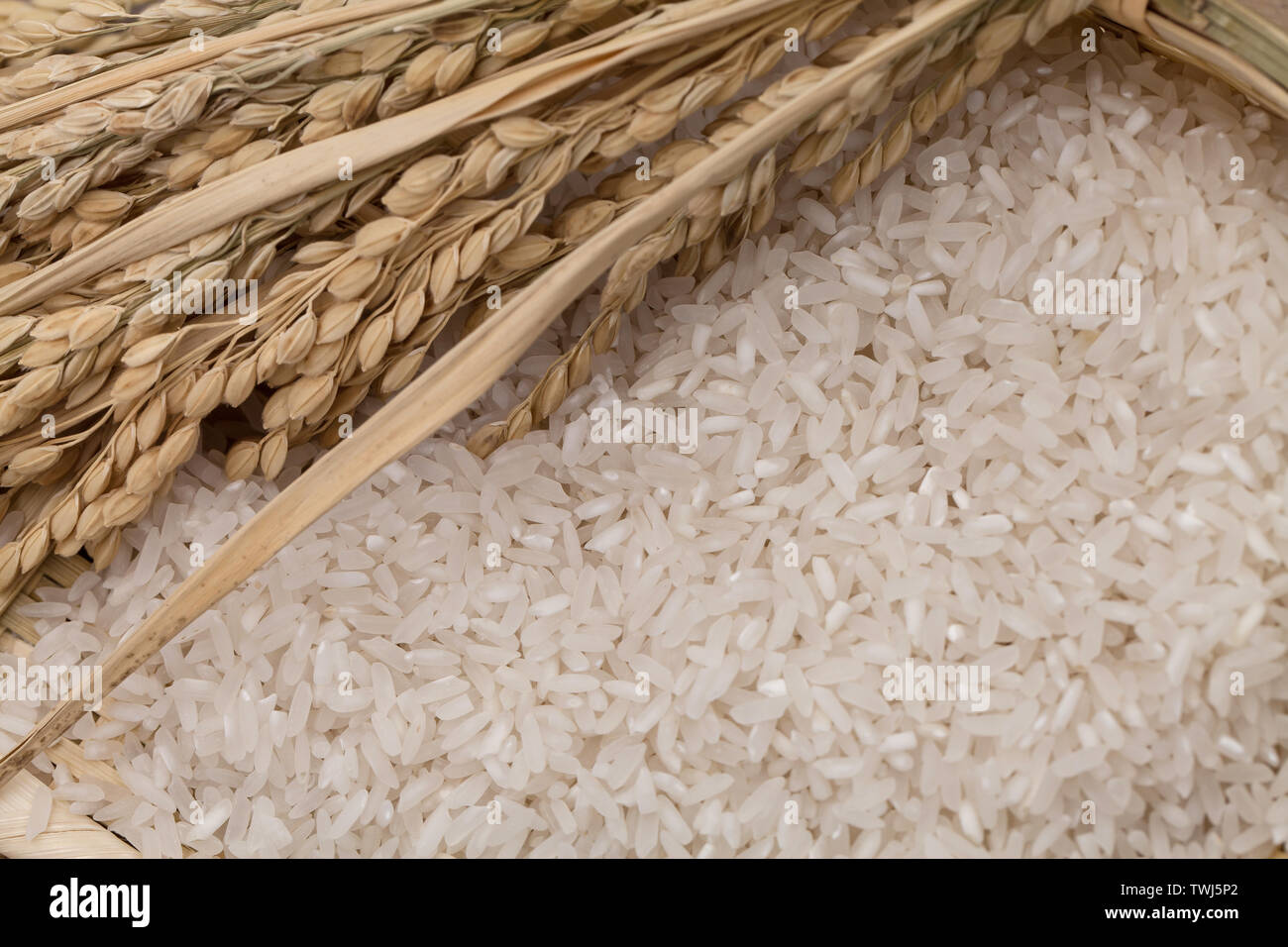 Rice HD photo Stock Photo - Alamy